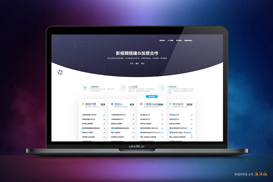 v22017 极简清爽VIP会员介绍多功能页面HTML单页源码_WPSEA模板